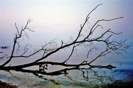 Home - Glebe Harbor - Cabin Point